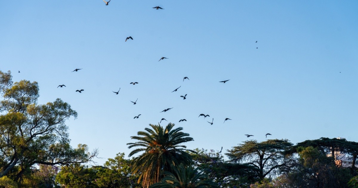 El clima en Rosario: un sol refulgente saluda al primer domingo del ...