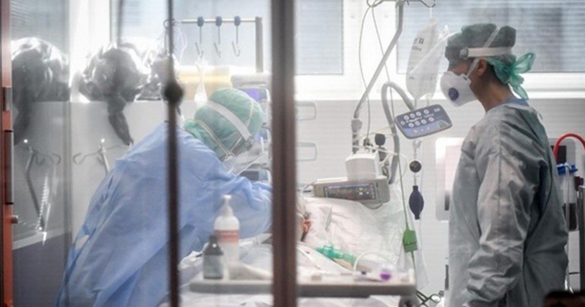 Médicos graduados en Argentina tendrán su título validado en todo el ...