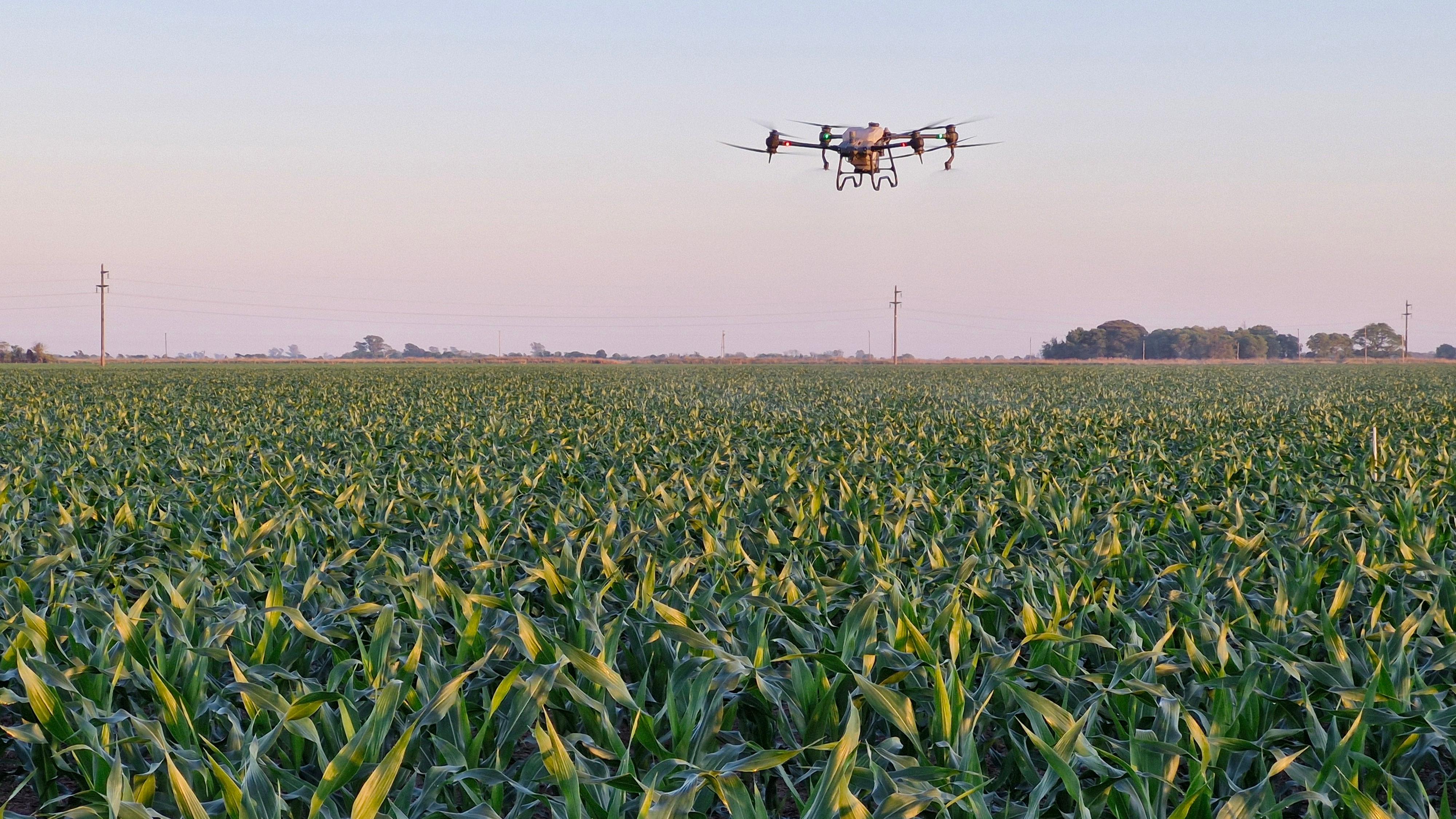 Drones agrícolas: pros y contras de una tecnología que aún no tiene ...