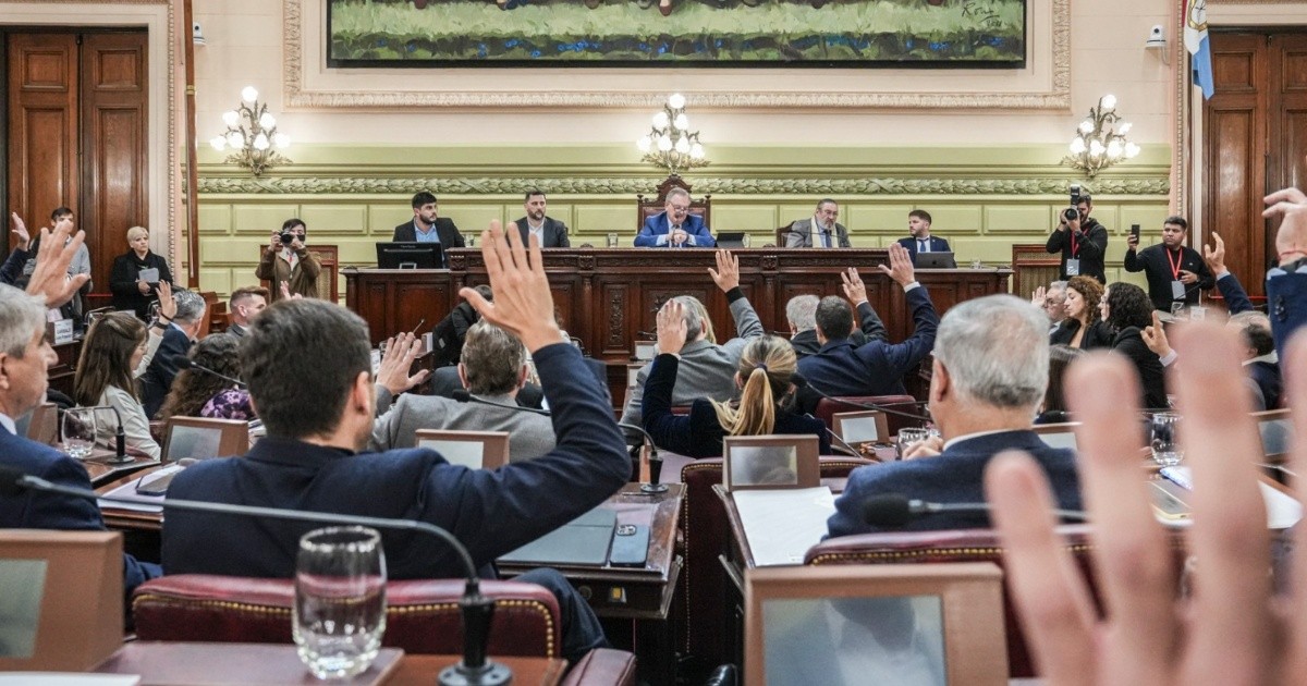 Tras un duro cruce por ver quién es más opositor, la Convención ...