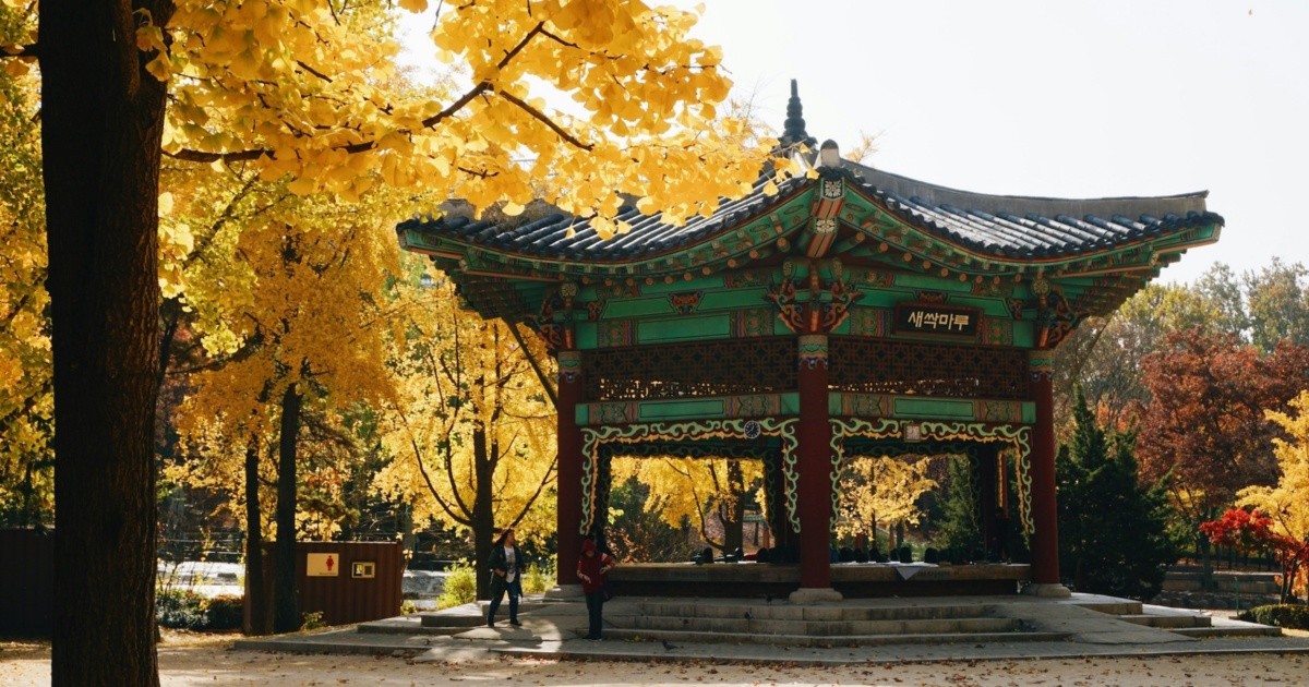 Terabox yailin la mas viral there isn't a wasted movement,