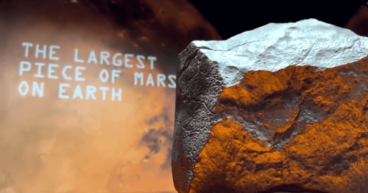 El meteorito marciano más grande que cayó en la Tierra, se vendió por ...