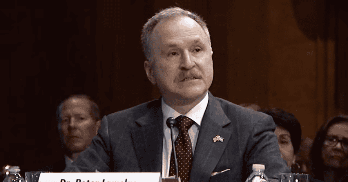 Diputados piden rechazar la designación de Peter Lamelas como embajador ...