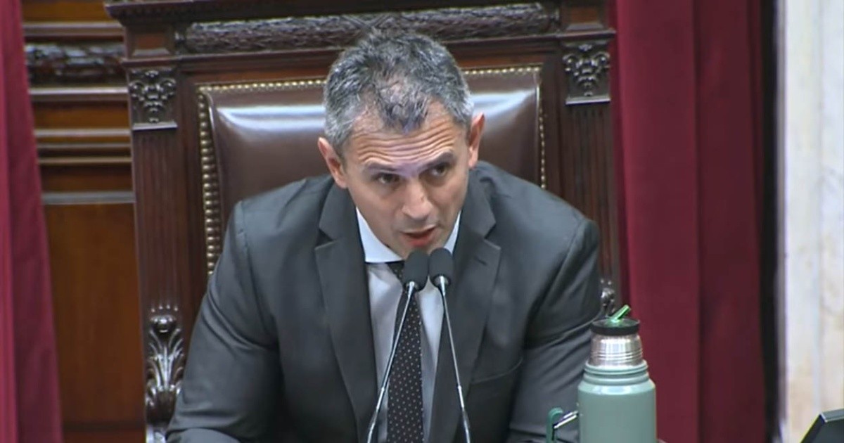 "El mejor elector de la Argentina es el presidente", dijo Martín Menem ...