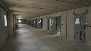 "Nunca terminaré de arrepentirme": Esther Goris contó su fallida noche ...