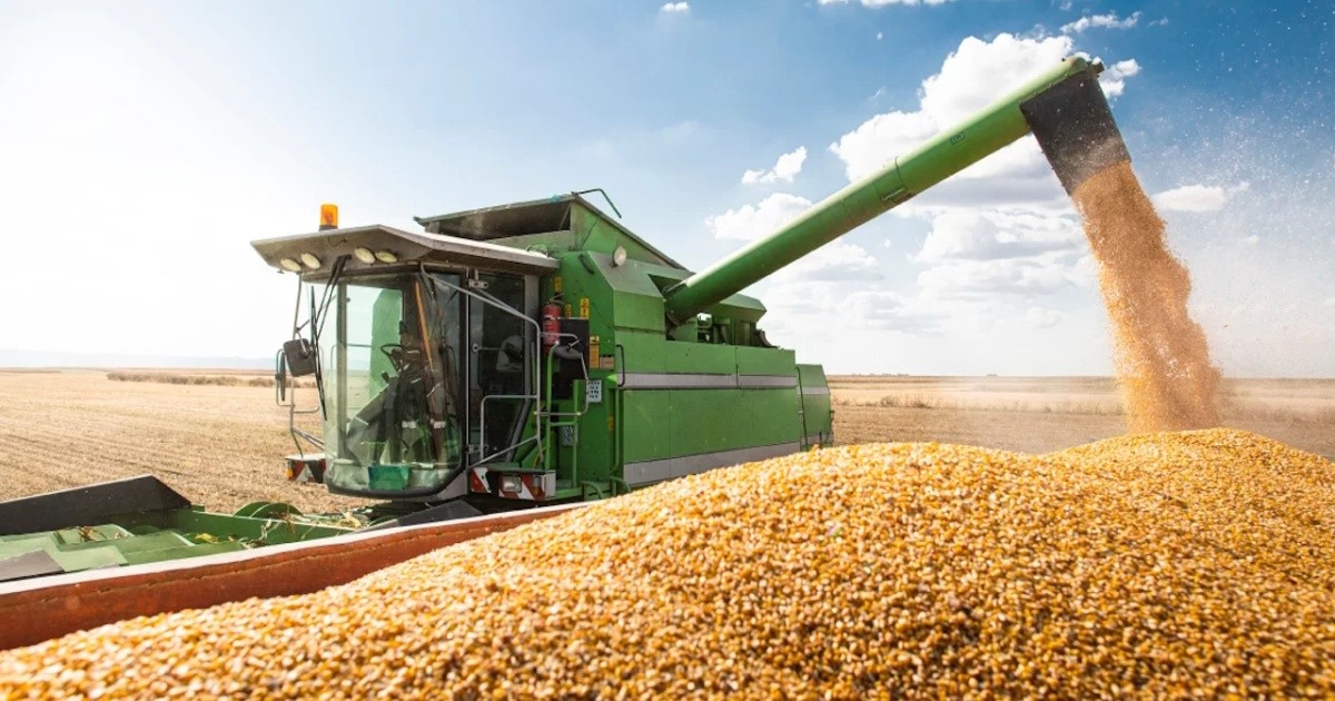 La actividad agropecuaria marcó un récord histórico en 2025 y cerró el ...