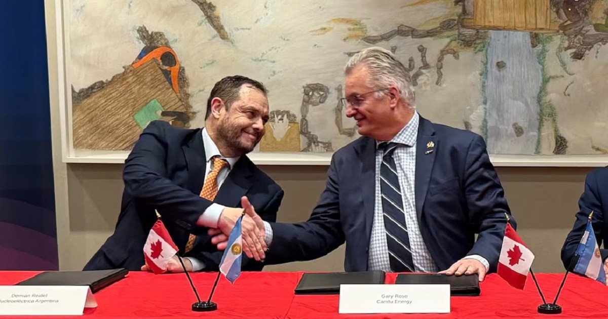 Demian Reidel renunció a la presidencia de Nucleoeléctrica tras ...