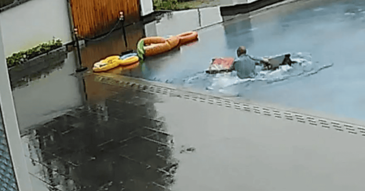 Lluvia, apuro y chapuzón: un trabajador de un hotel en China confundió ...