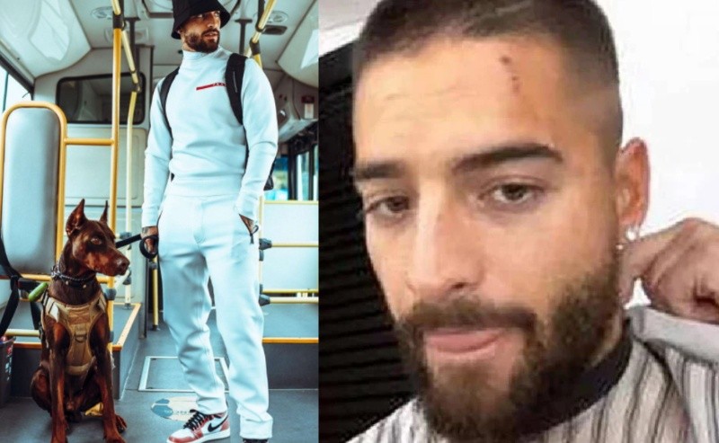 Cuidado con el perro: a Maluma lo mordió su doberman rojo europeo ...