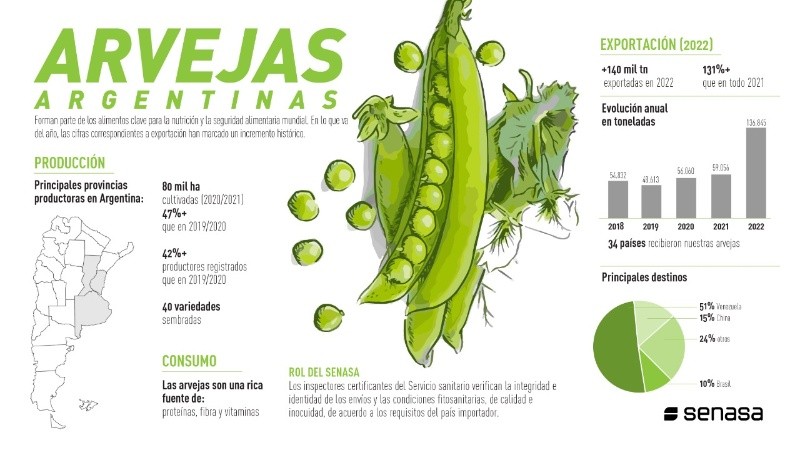 El 'boom' de las arvejas: las exportaciones argentinas ya son las ...