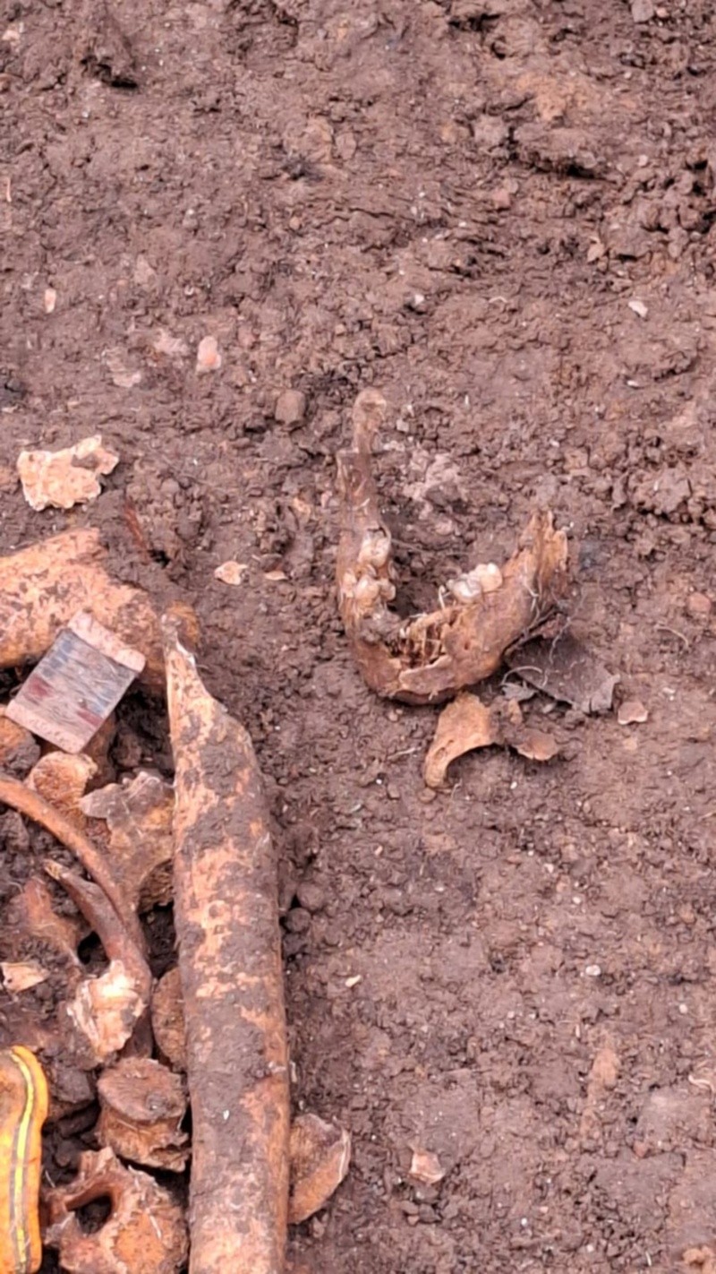 Se conocieron las imágenes de los restos óseos hallados en la casa que vivió Gustavo Cerati ...